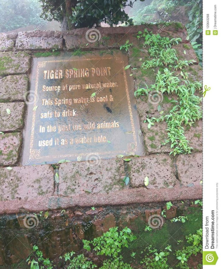 10 Places To Visit In Mahabaleshwar 2024 • Travelothon