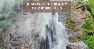 Plan Your Trip To Didupe Falls in Karnataka • Travelothon
