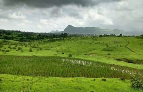 34 Best Places To Visit Near Nashik In 2024 • Travelothon